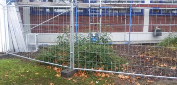 Bauzaun mieten mit Stacheldraht in Montabaur z.B. für eine Baustelle ...